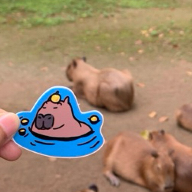 Jual Sticker Vinyl - Chill Capybara | Shopee Indonesia
