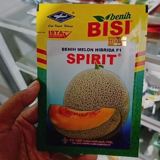 Jual Benih Bibit Melon Spirit F1, Net Kulit Tebal Daging Merah Orange ...