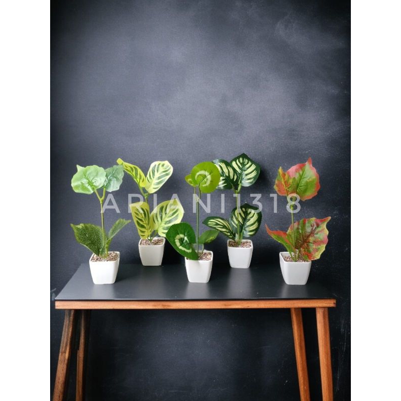 Jual ARIANI1318 SET BUNGA PLASTIK ANEKA MACAM DAUN1 DENGAN POT PLASTIK ...