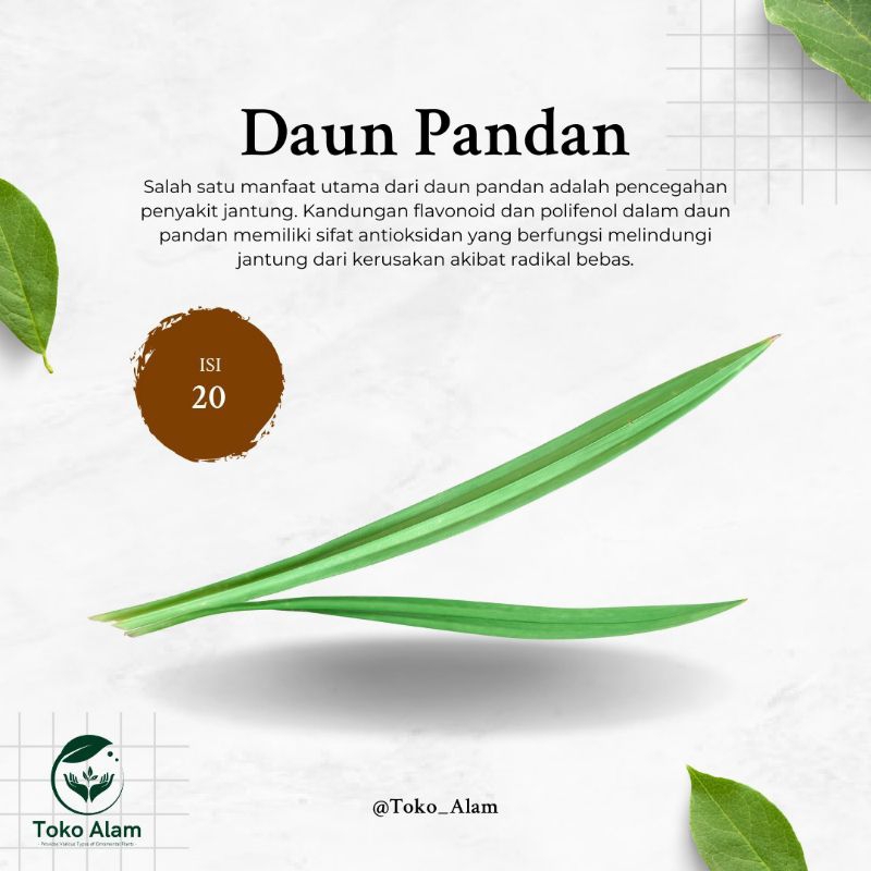 Jual Daun Pandan 20 Lembar | Shopee Indonesia