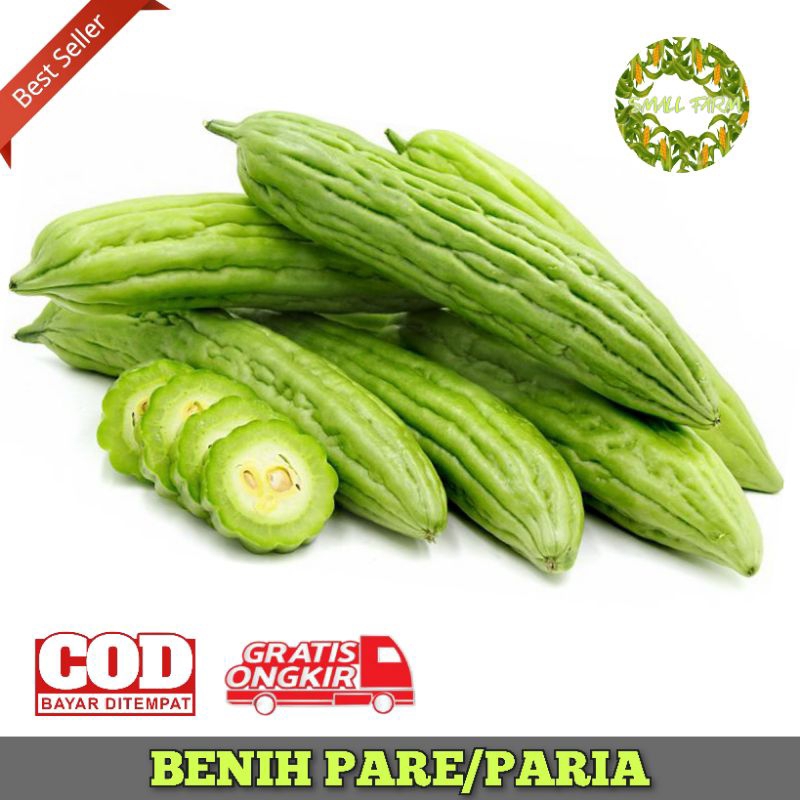 Jual Benih biji Paria pare komandan F1 isi 2 benih | Shopee Indonesia