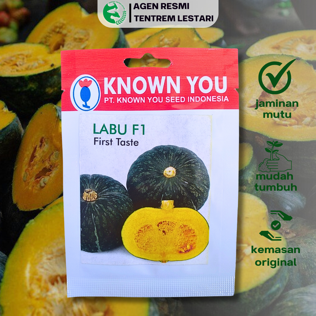 Jual Benih Labu FIRST TASTE 4 seed Known You Seed Unggul | Shopee Indonesia