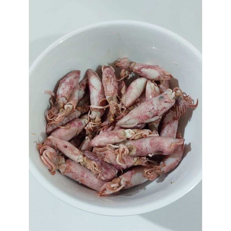Jual cumi rebus super besar tersedia 250g, 500g , 1000g | Shopee Indonesia