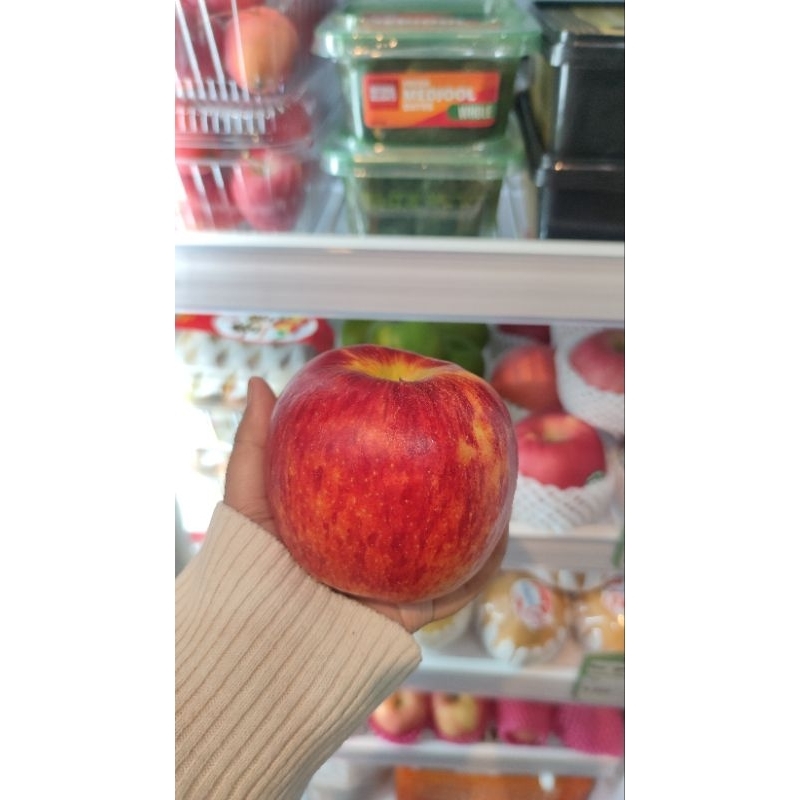 Jual Apel Envy USA JUMBO 1 BUAH | Shopee Indonesia