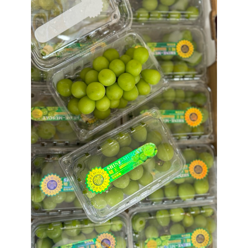 Jual Anggur Shine muscat 500gr | Shopee Indonesia