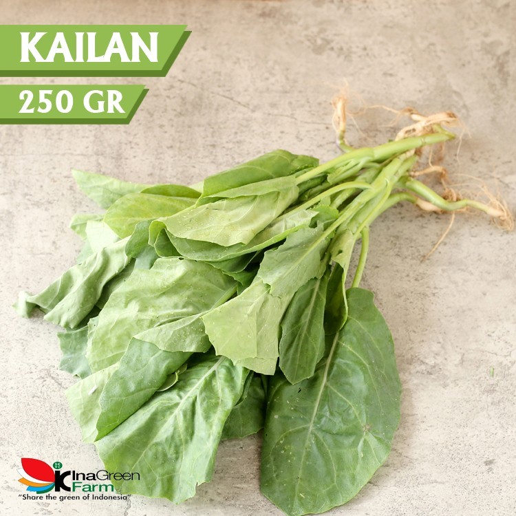 Jual Inagreen Farm Bandung Sayur Kailan 250 Gram | Shopee Indonesia