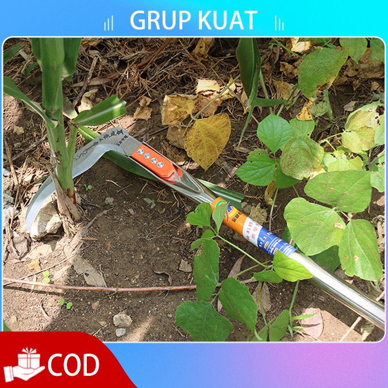 Jual Sabit Rumput Alat Memanen Sayuran Alat Alat Pecabut Rumput ( Alat ...