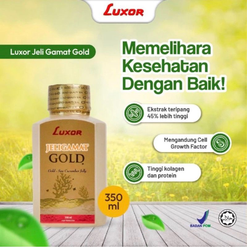 Jual Jelly Gamat Gold Luxor 350ml Original Ekstrak Teripang Emas 100% ...