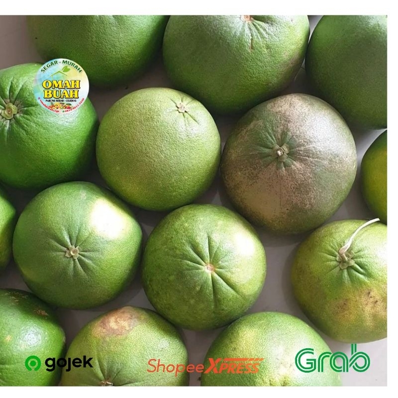 Jual Buah Jeruk Bali Fresh 1 Buah | Shopee Indonesia
