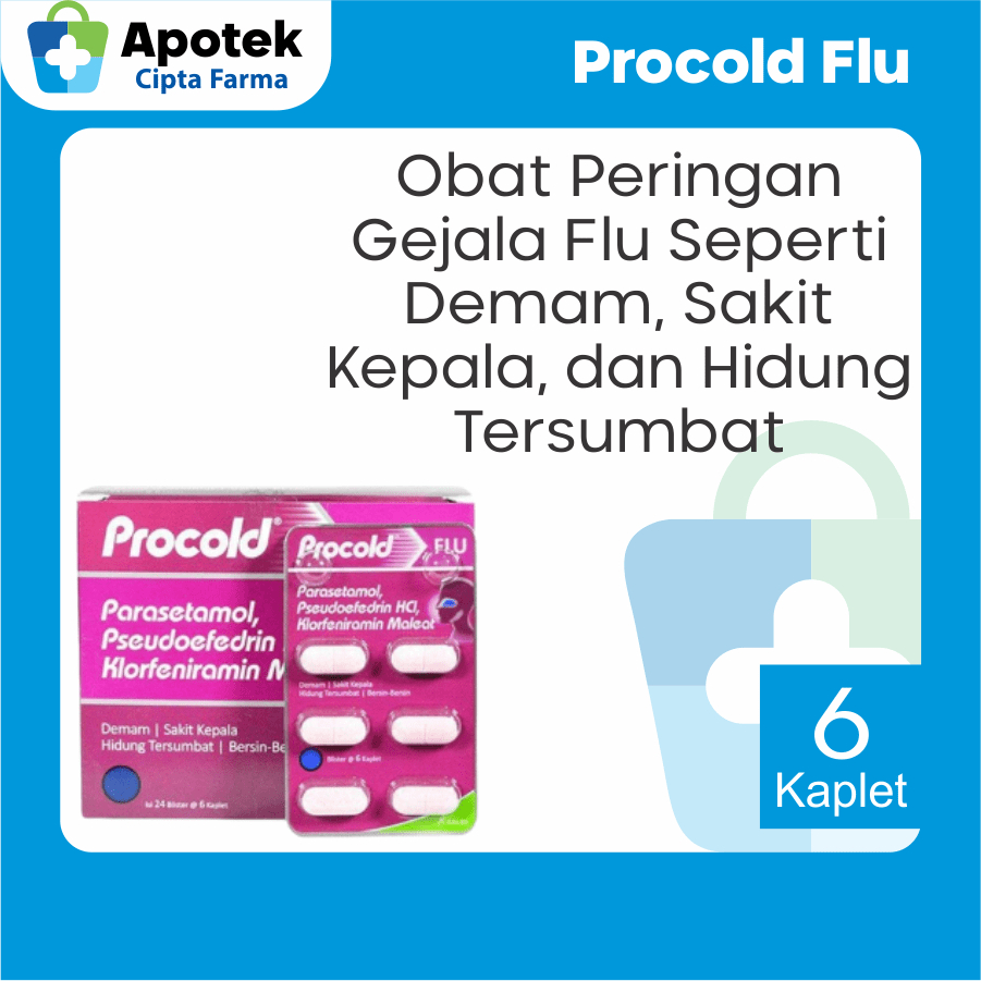 Jual Procold Flu Paracetamol Obat Flu Obat Pilek Hidung Tersumbat Obat ...