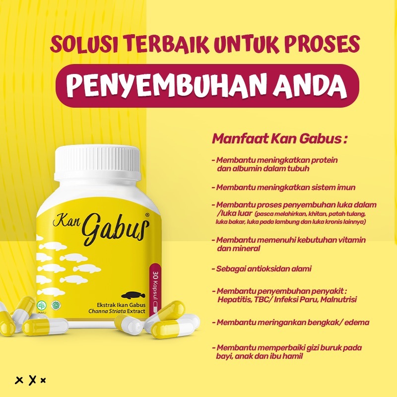 Jual Royal Medica Kan Gabus Ekstrak Ikan Gabus 30 Kapsul | Shopee Indonesia