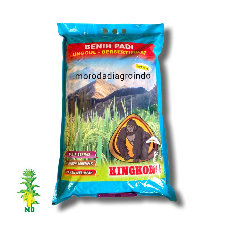 Jual Benih Padi Unggul Bersertifikat INPARI 32 Cap Kingkong kemasan 5kg. | Shopee Indonesia
