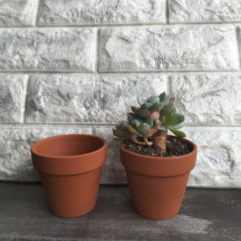 Jual Pot Tanaman Bunga Dari Tanah Liat Aesthetic | Shopee Indonesia