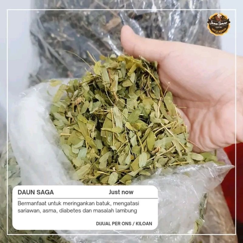 Jual Daun Saga | Shopee Indonesia