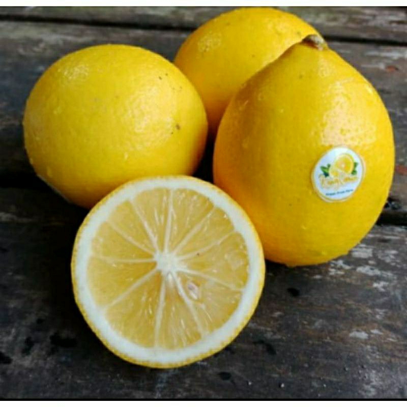 Jual jeruk lemon kalifornia fresh 1 kg | Shopee Indonesia
