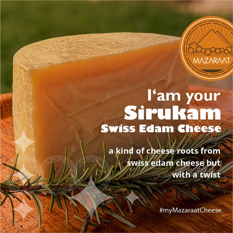 Jual Keju Sirukam (Dari Padang) | Shopee Indonesia