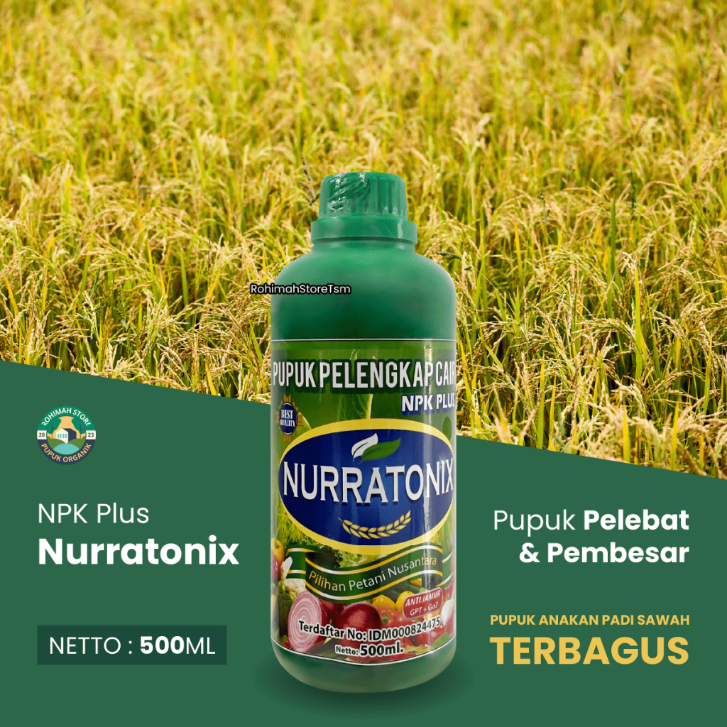 Jual pupuk padi sawah terbaik NPK NURRATONIX anakan sawah padi terbaik - pupuk cair terbaik buat ...