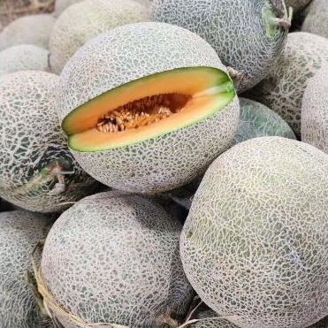 Jual Melon Oren oranye 1kg | Shopee Indonesia