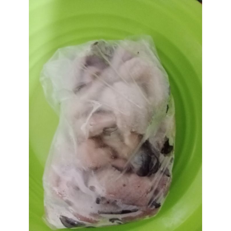 Jual Frozen Fillet Lele Boneless ~ 450 Gram | Shopee Indonesia