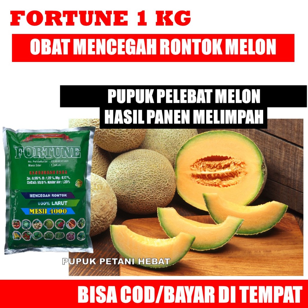 Jual FORTUNE isi 1 KG OBAT BUSUK BUAH MELON - Pupuk Layu Pada Tanaman Melon - Obat Semprot Melon ...