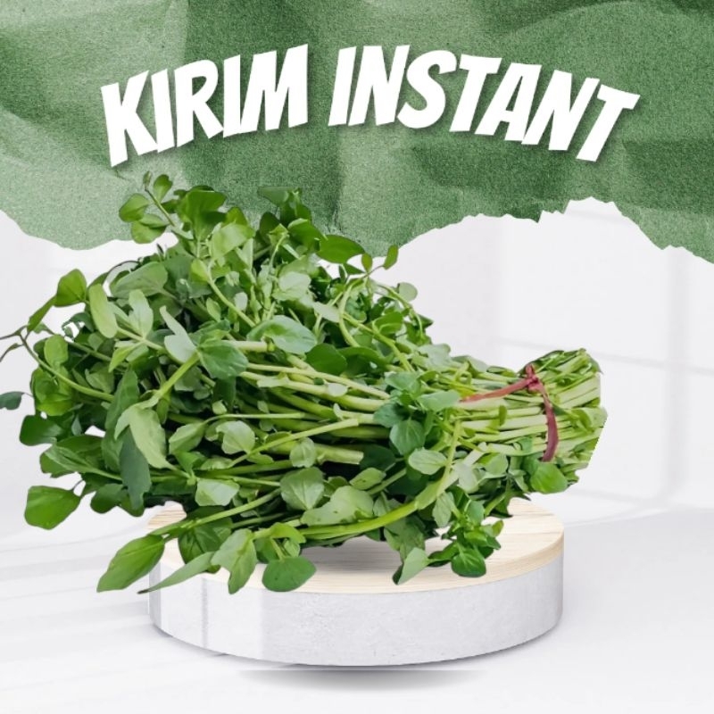 Jual selada air 1 ikat | Shopee Indonesia