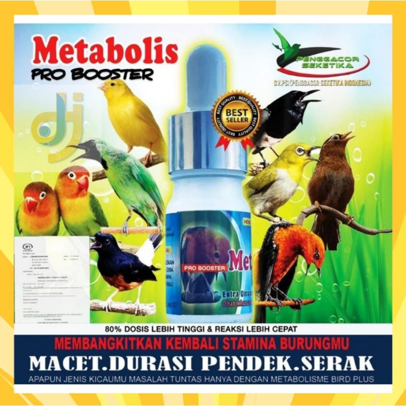 Jual METABOLIS PRO BOOSTER OBAT BURUNG SAKIT MACET BUNYI DURASI PENDEK ...