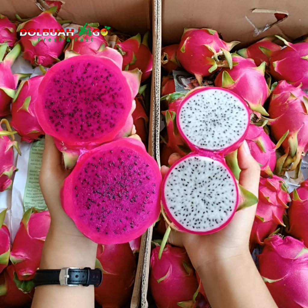 Jual Buah Naga Merah / Naga Putih Manis Organik - Dolbuah | Shopee ...