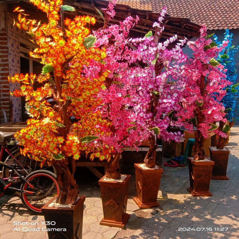 Jual TINGGI 210 CM LENGKAP VAS BATU , SAKURA HAWAI SUYOK. | Shopee ...