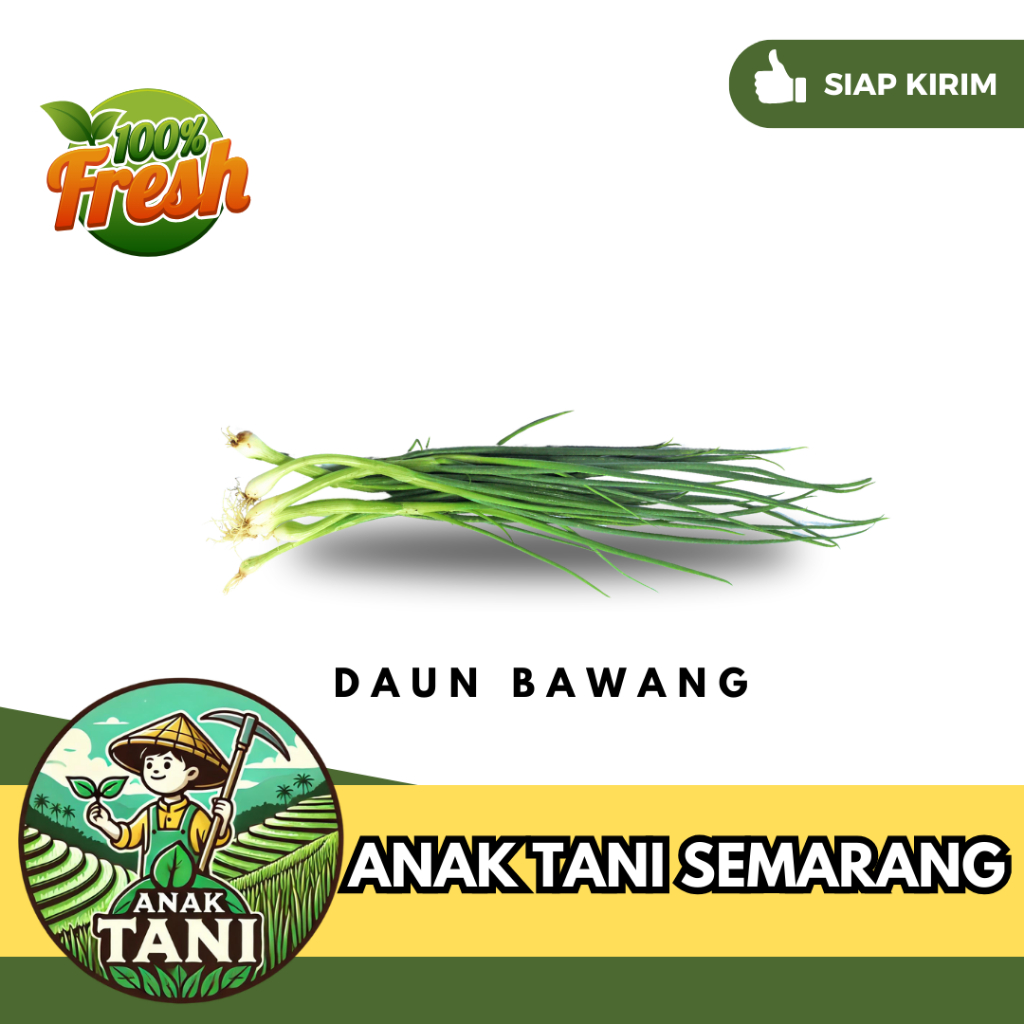 Jual [ANAK TANI] DAUN BAWANG / ONCLANG / LUNCANG / LONCANG SEGAR SIAP ...