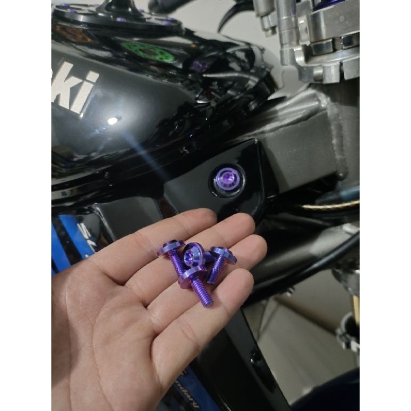 Jual baut body sayap ninja r ss titanium baut body titanium | Shopee ...