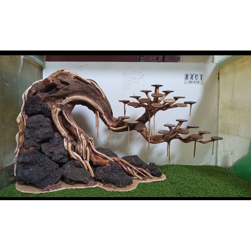 Jual Bonsai Hardscape Aquascape | Shopee Indonesia Jual Bonsai Hardscape Aquascape | Shopee Indonesia