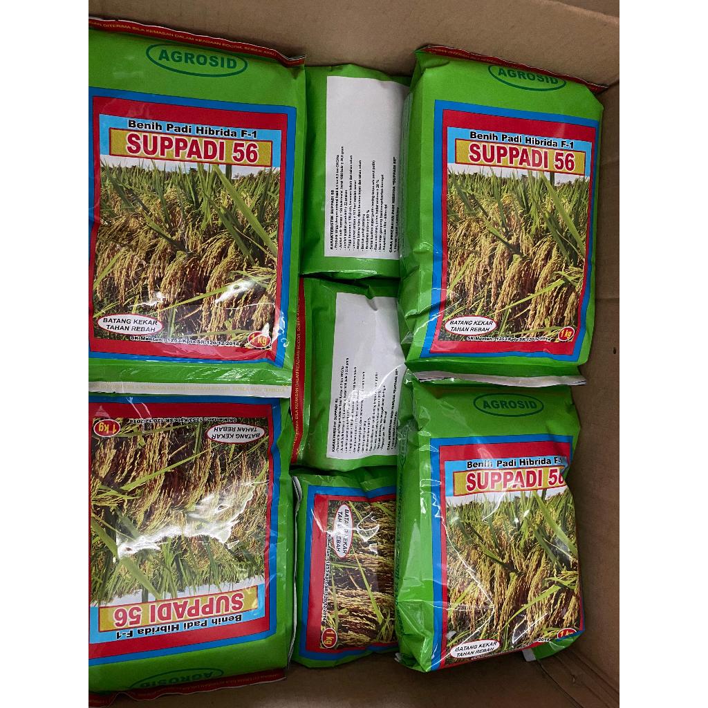 Jual Benih Padi Supadi SUPPADI 56 Hibrida F1 Agrosid 100% ORIGINAL ...