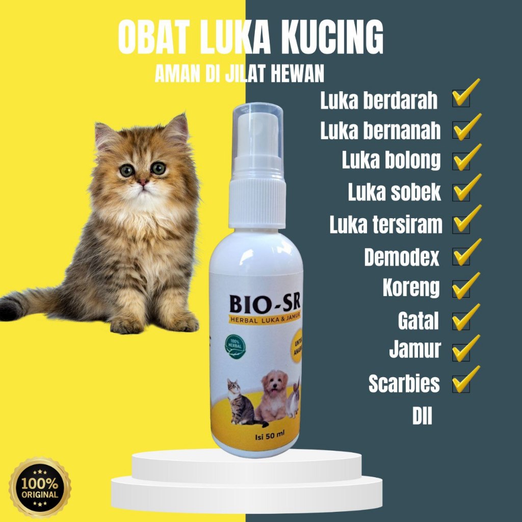 Jual Obat Luka Kucing Kucing Infeksi Bakar Bolong Spray Obat Terbuka ...