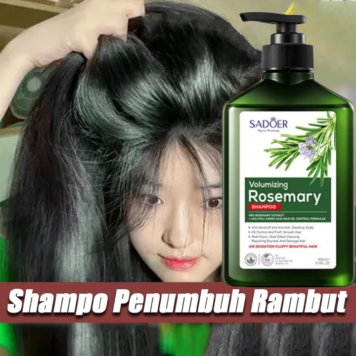 Jual 500ML shampoo penumbuh rambut with Rosemary Oil Anti Hair Fall Shampoo Hair Growth Shampo ...