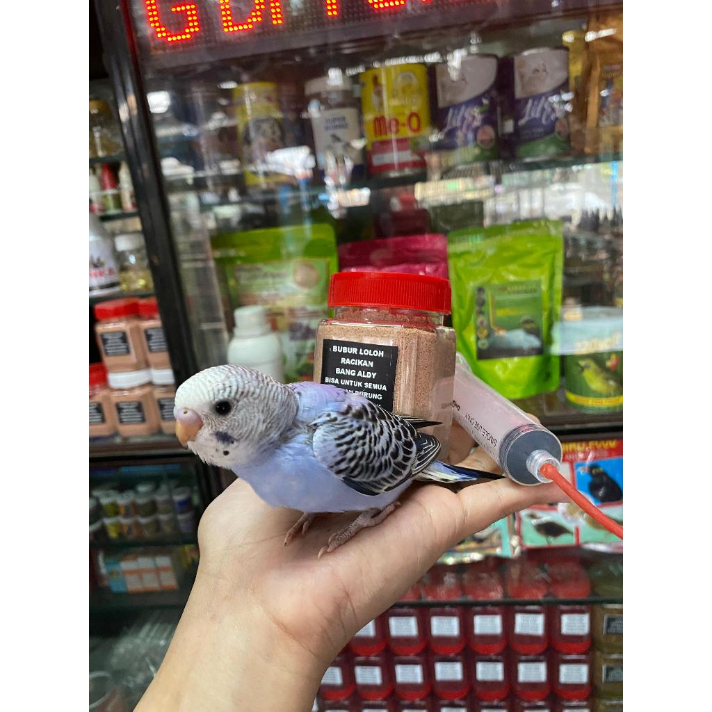 Jual ALDY JAYA - PARKIT LOLOHAN - KHUSUS INSTANT | Shopee Indonesia