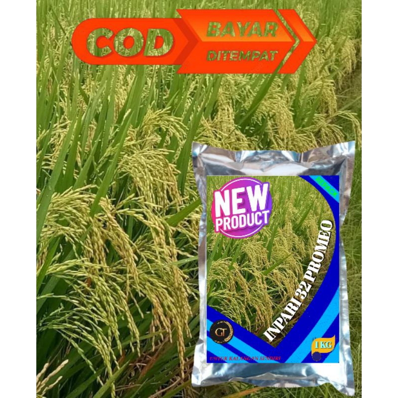 Jual BENIH PADI INPARI 32 PROMEO/REPACK KEMASAN 1KG/ORIGINAL | Shopee Indonesia