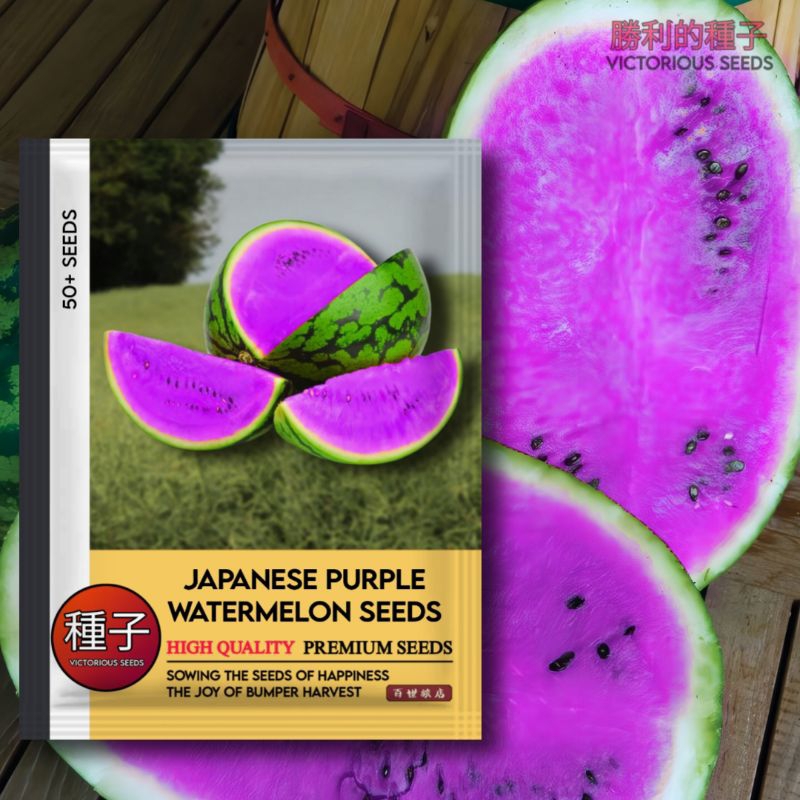 Jual REFA (50 Butir) Benih Semangka Ungu Purple Watermelon Seeds ...