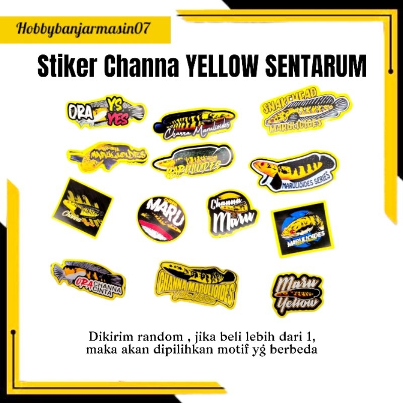 Jual (1 PCS RANDOM ) STIKER CHANNA STICKER CHANNA YELLOW SENTARUM ...