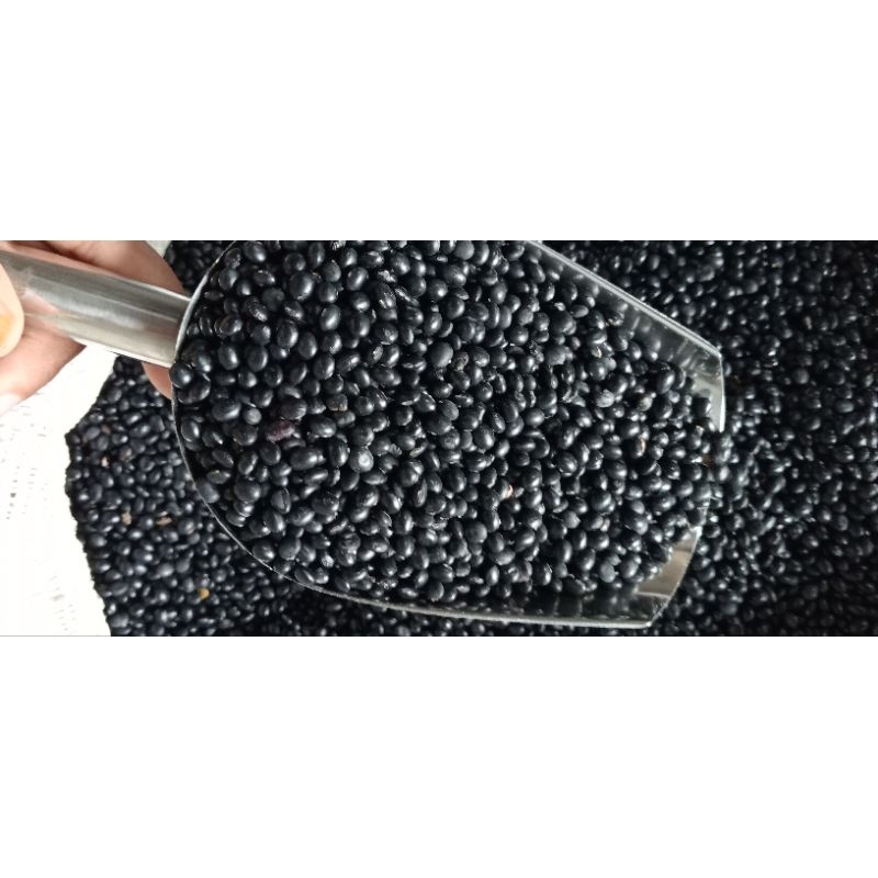 Jual KACANG KEDELAI HITAM BLACK BEAN| 1 KG | Shopee Indonesia