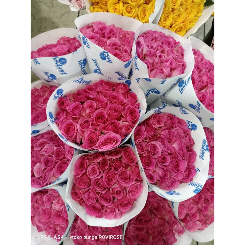 Jual Bunga mawar fresh bunga segar isi 20 tangkai bunga asli. by ...