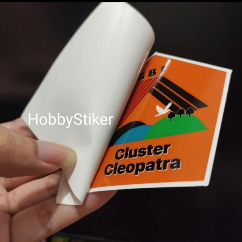 Jual Stiker custom tempel dalam kaca bebas request gambar untuk mobil ...
