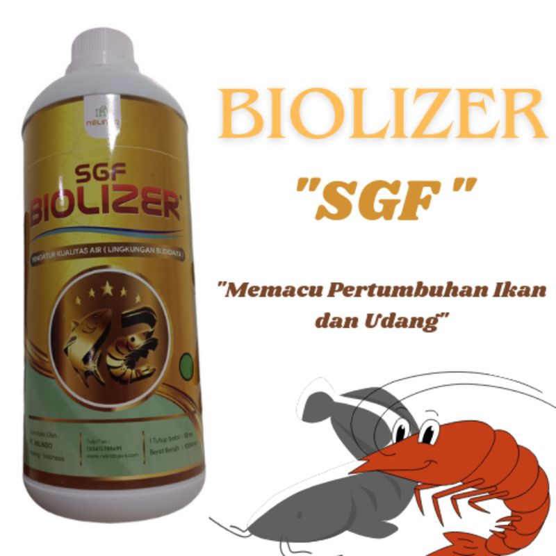 Jual SGF BIOLIZER penikat kualitas air | Shopee Indonesia