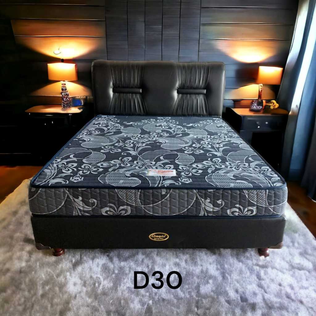 Jual kasur busa CHAMPION D30 full rebounded (busa biru) | Shopee Indonesia