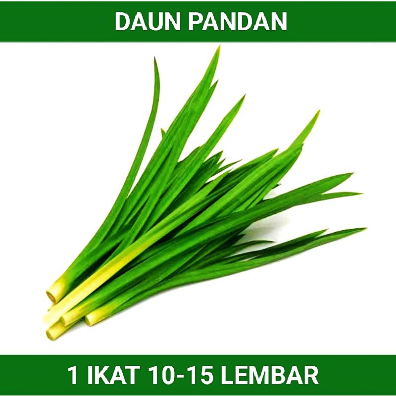 Jual DAUN PANDAN SEGAR FRESH / 1 IKAT ( 10-15 Lembar ) | Shopee Indonesia