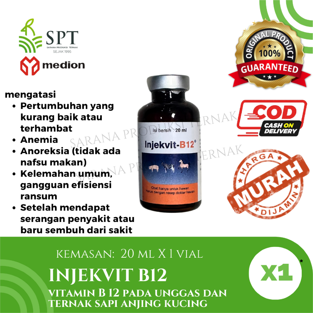 Jual MEDION INJEKVIT B12 20 mL VITAMIN INJEKSI SAPI DOMBA KUDA BABI ...