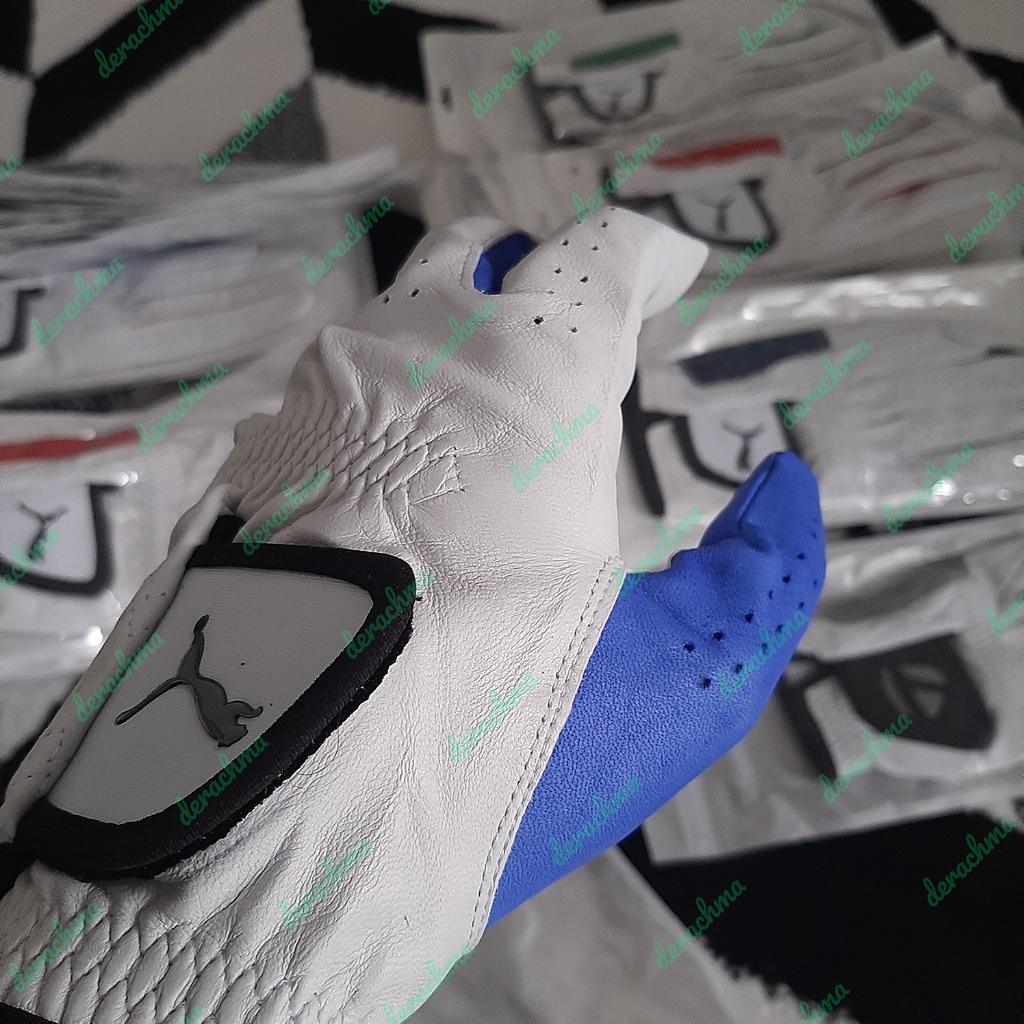 Jual Sarung Tangan Golf PMA - Glove Golf - Bahan Full Kulit Domba Asli (Kiri) | Shopee Indonesia