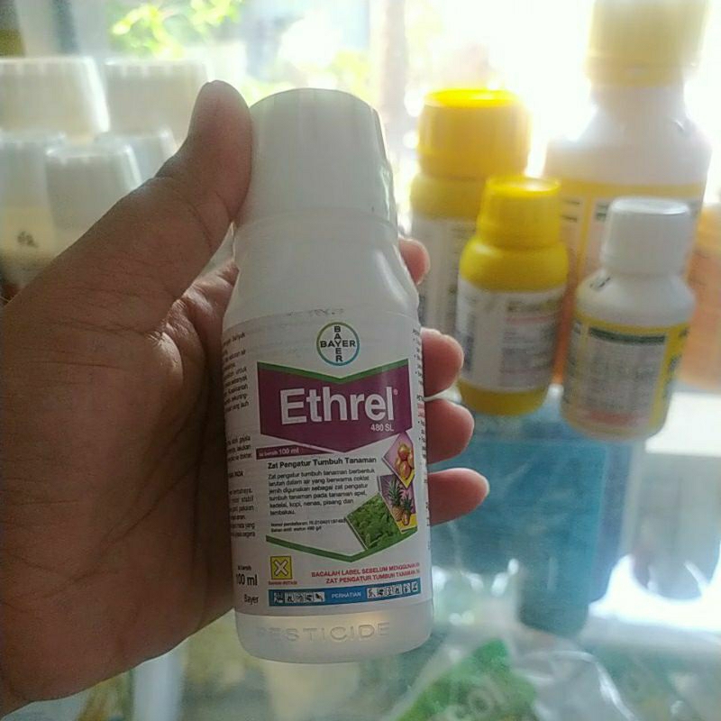 Jual ethrel 100ml zpt tanaman | Shopee Indonesia