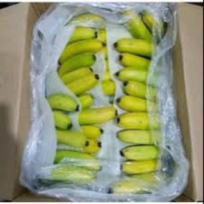 Jual pisang Cavendish | Shopee Indonesia