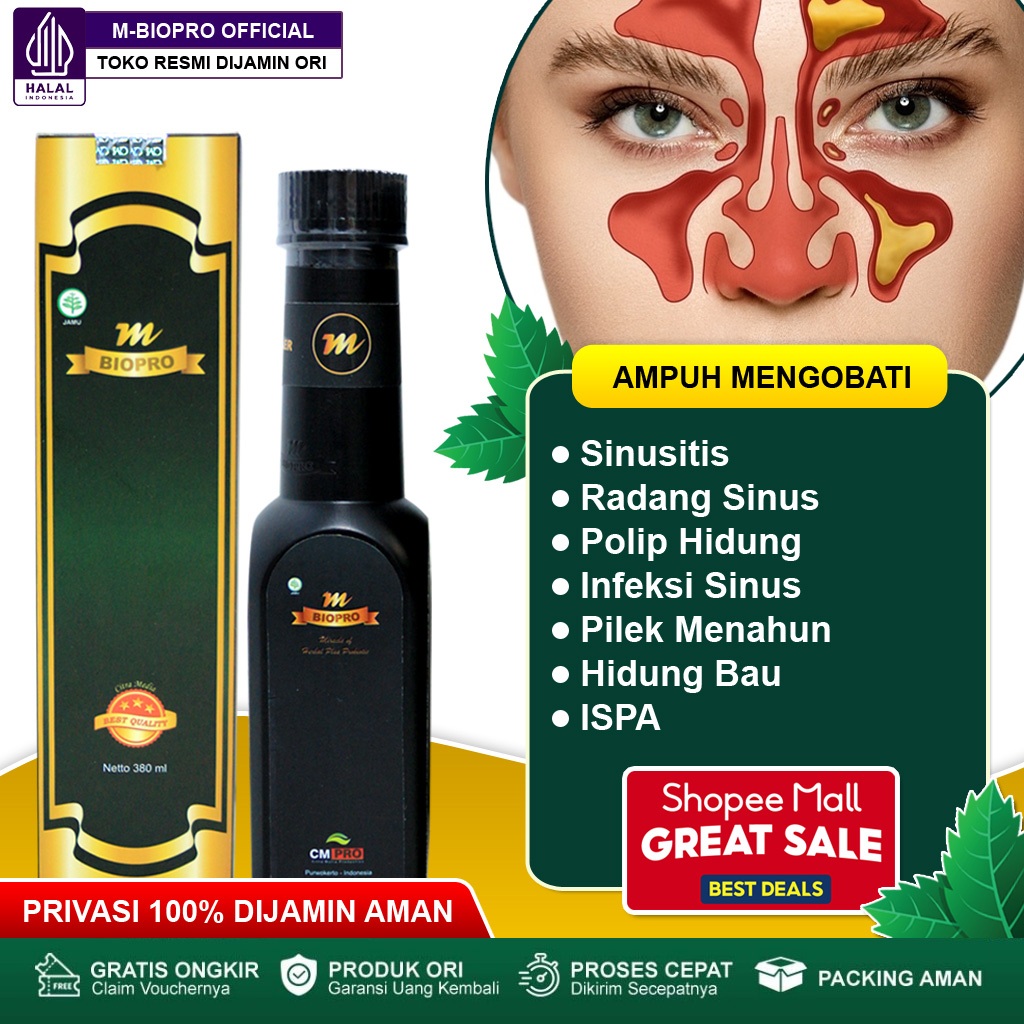 Jual Obat Sinusitis, Herbal Sinusitis, Radang Sinus, Pilek Menahun ...