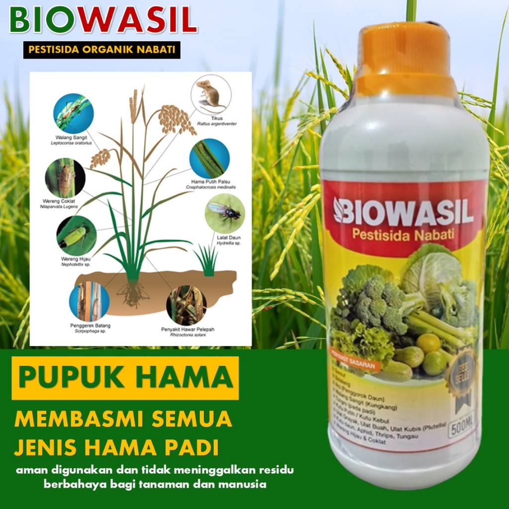 Jual BIOWASIL: Pupuk Pestisida, Fungisida, Insektisida Organik Pembasmi Hama | Pestisida Nabati ...